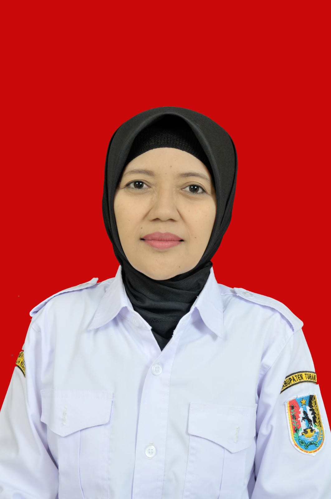 UPT SMP NEGERI 3 TUBAN — Tugas dan Fungsi Persuratan